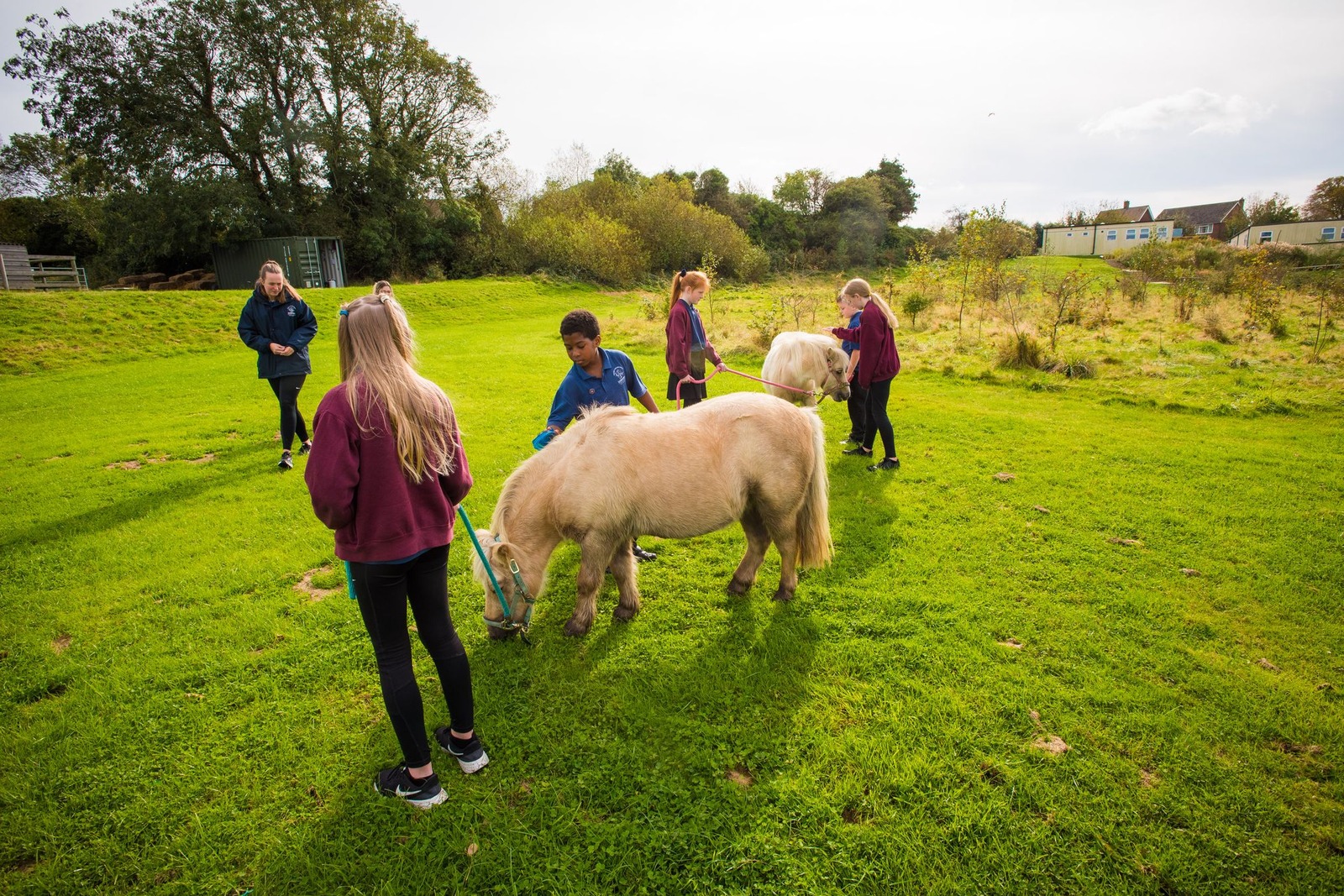 Attendance | Sandown Primary School